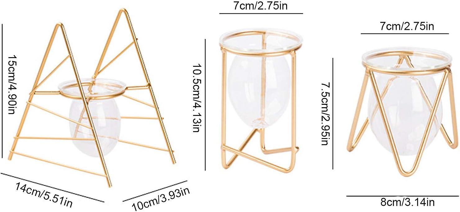Plant Terrarium With Metal Stand, Air Planter Bulb Glass Vase ...