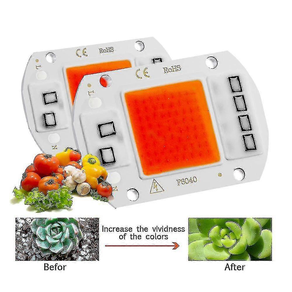 Led Grow Light Full Spectrum Cob Led Chip Ac 110v 220v No Need Driver ...