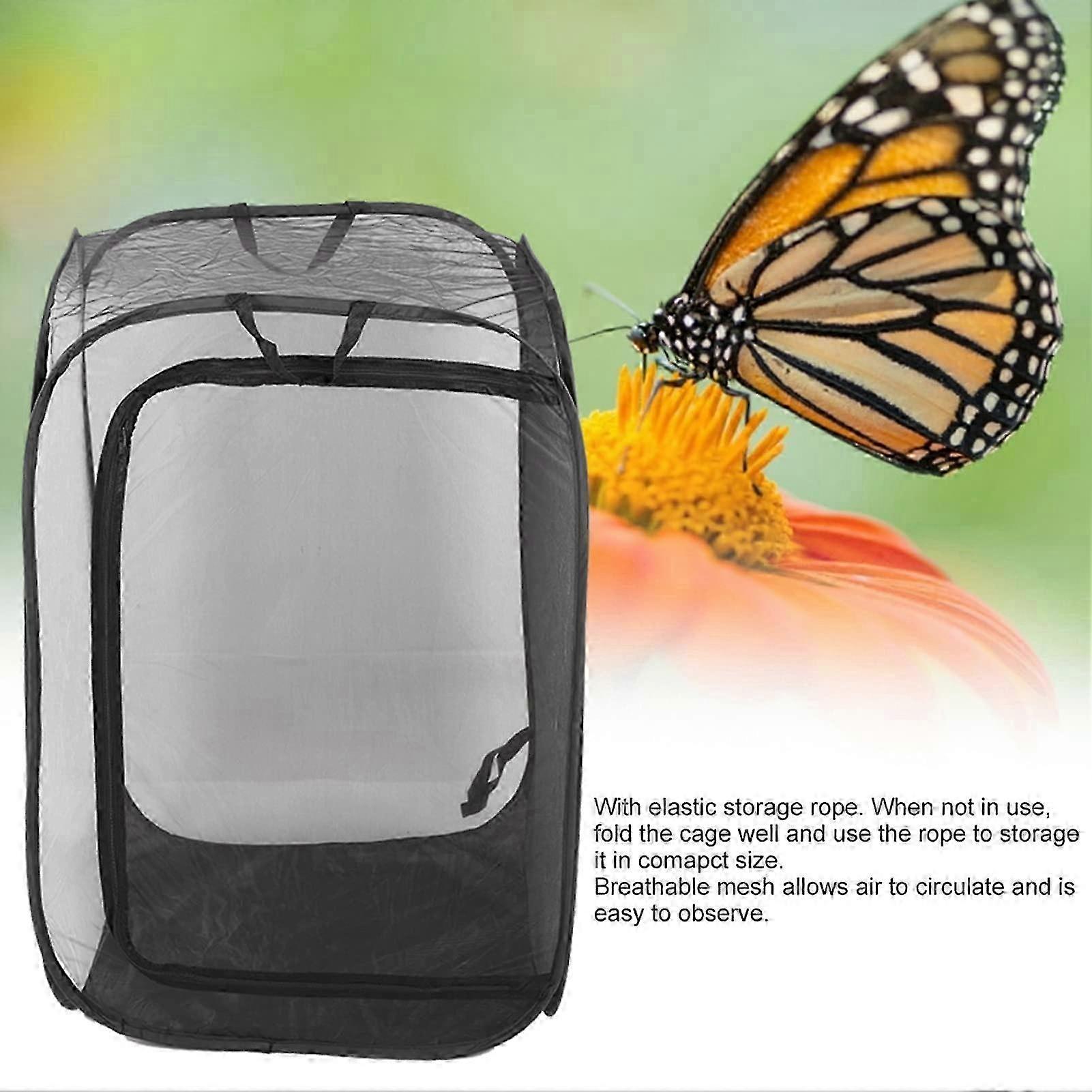 Folding Insects cage, Foldable Stick Cage, Cloth Insects Mesh Cage ...
