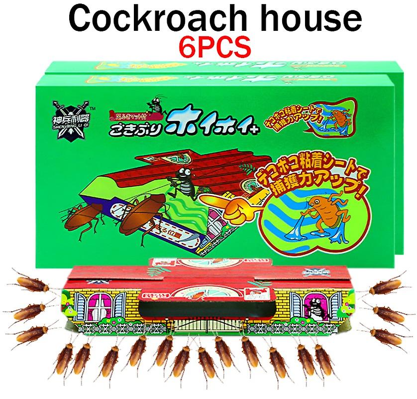 Magic Weapon Japanese Cockroach House, A Whole Nest Of Cockroaches For ...