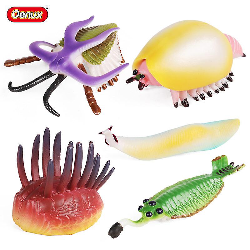 Marine animal model prehistoric trilobite shrimp chrysanthemum and ...