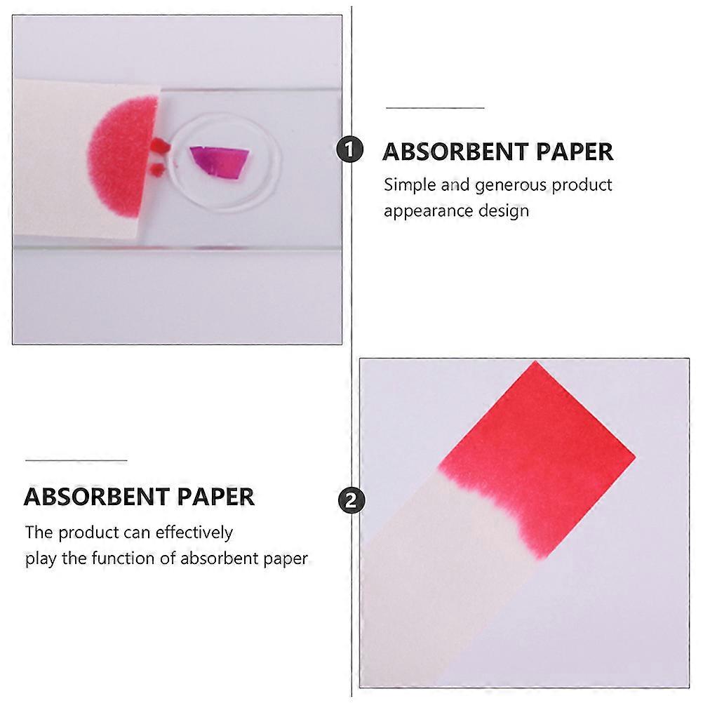 4 Boxes Laboratory Paper Strip Chromatography Paper Strips Filter Paper ...