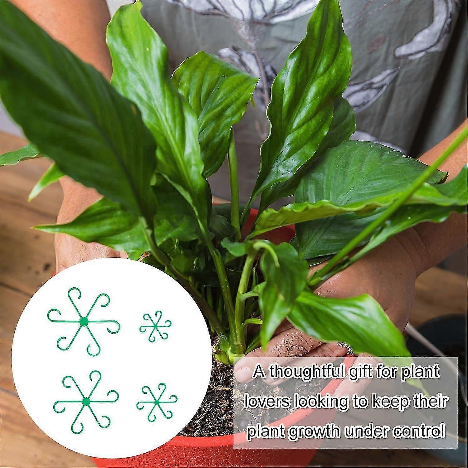 4pcs Climbing Houseplant Stem Supports, Plastic Plant Climbers Stem ...