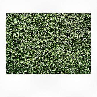Artificial Grass Mat Backdrop for Plant Photography, Green Wall Panel ...