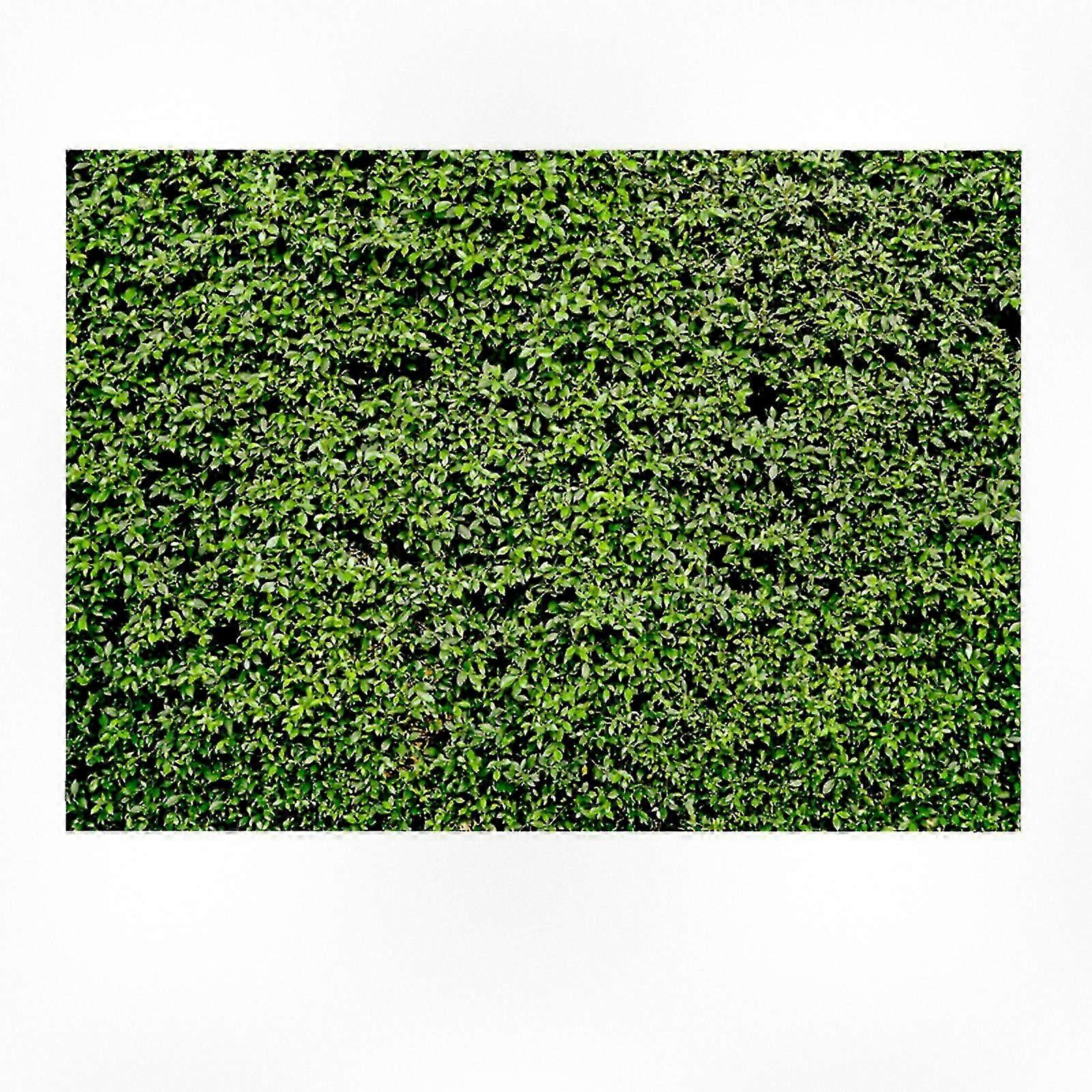 Artificial Grass Mat Backdrop for Plant Photography, Green Wall Panel ...