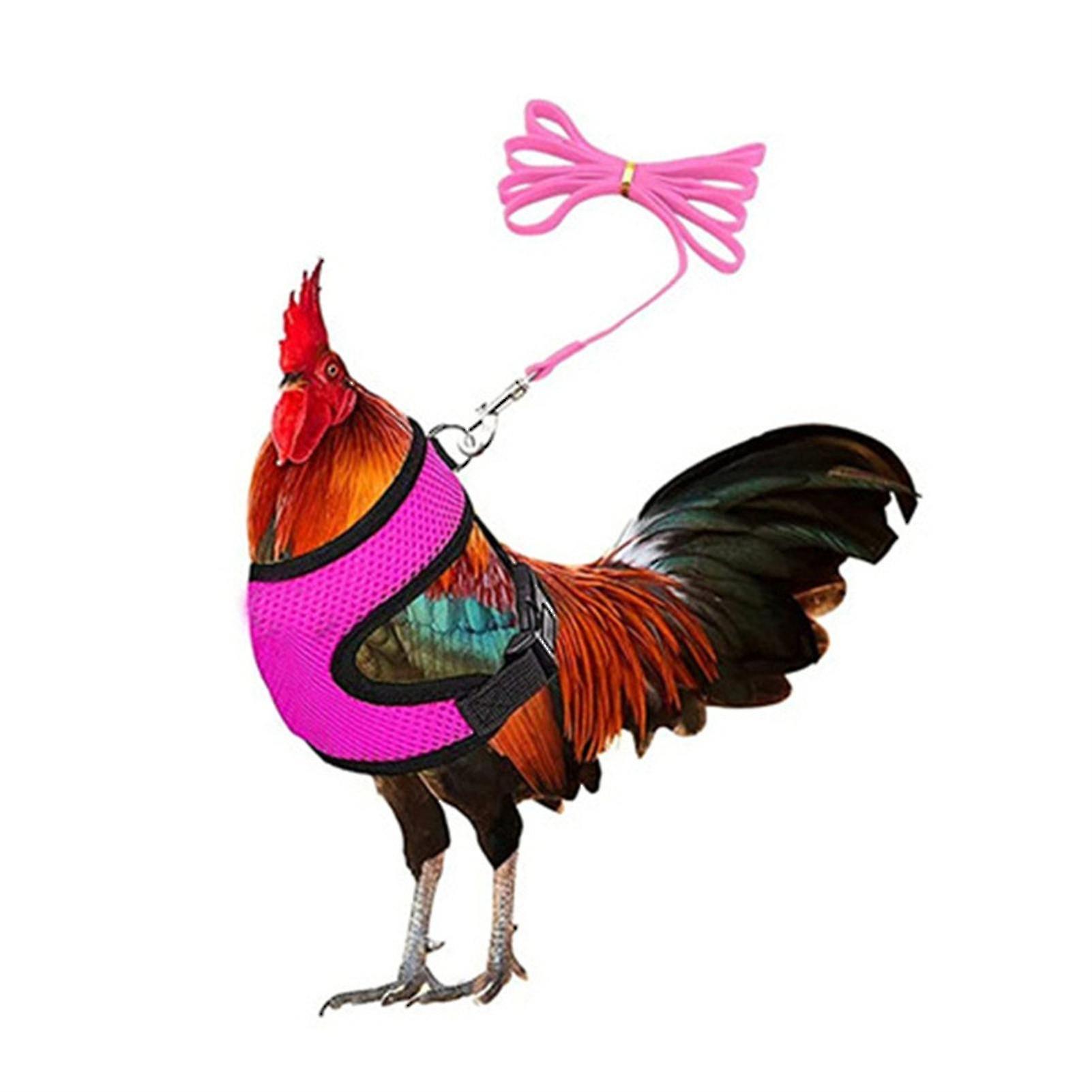 1 Set Chicken Harness With Leash Breathable Adjustable Chicken Duck ...