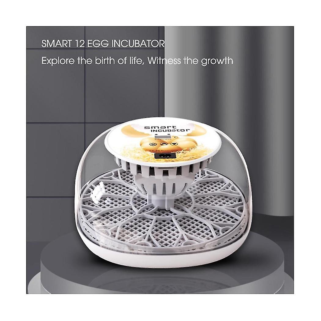 Egg Incubator, 12 Eggs Incubator With Auto Egg-turning, Auto Water ...