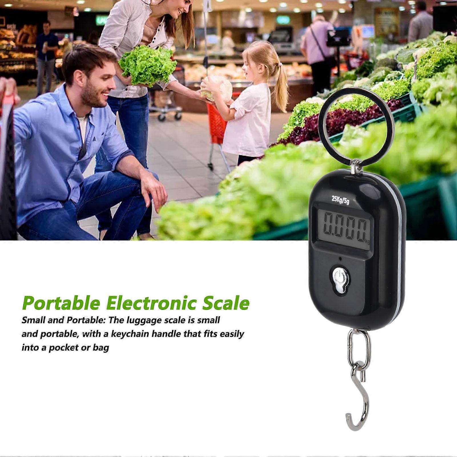 Digital Hanging Scale for Weighting, Fish Scale Portable Mini ...