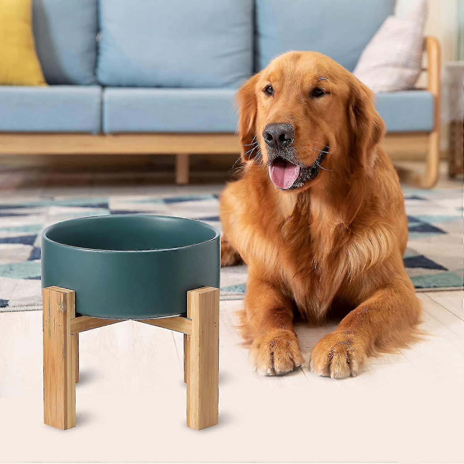 White Ceramic Elevated Cat Bowl, Cat Food Tray With Stand, Raised Cat ...