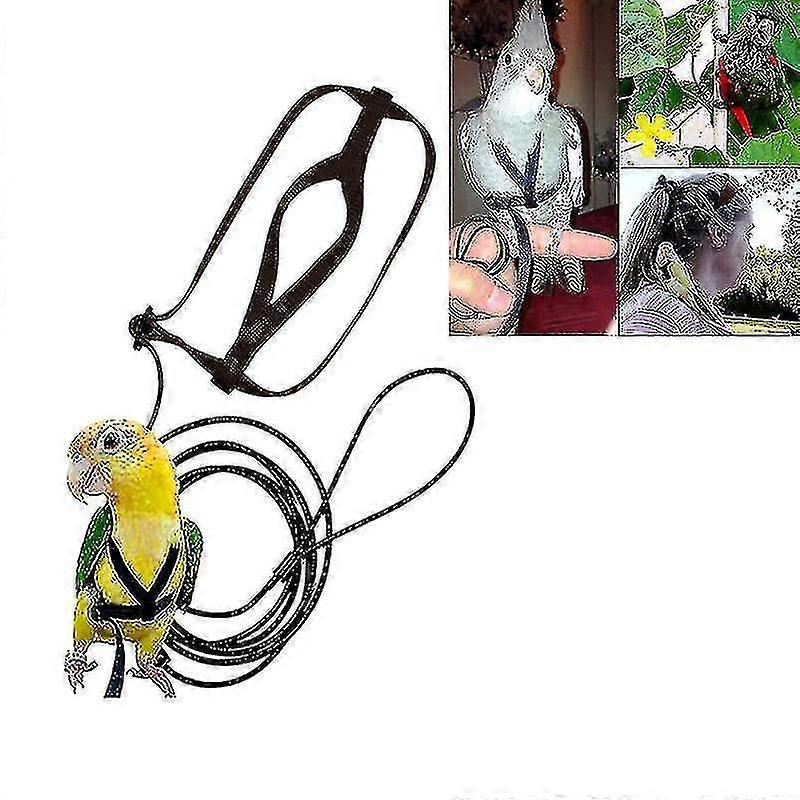 Pet Parrot Bird Harness Leash Adjustable Bird Flying Harness Traction ...