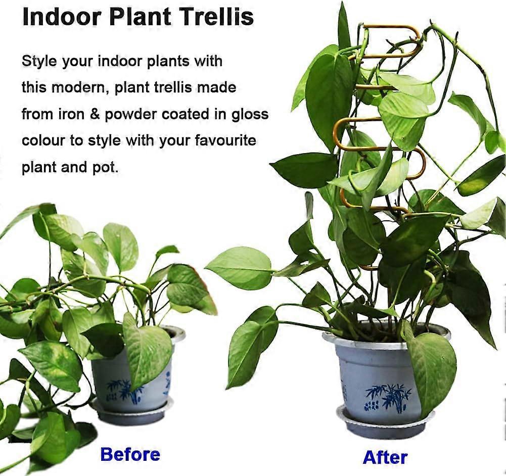 SBSG Small Metal Trellis for Potted Plants, 3 Pcs Gold Trellis for ...