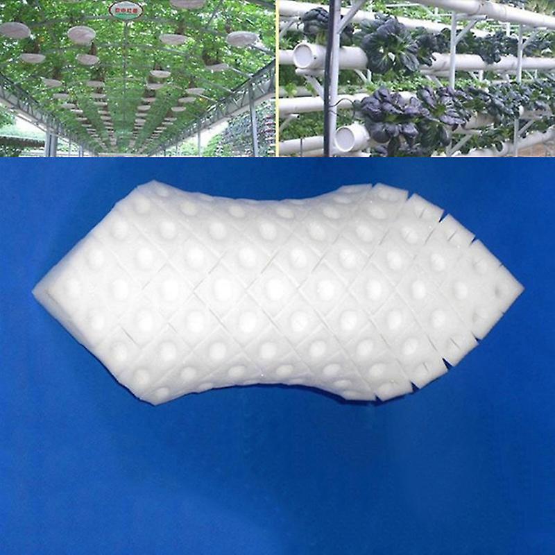 100 Pcs/lot Soilless Hydroponic Vegetables Nursery Pots Nursery Sponge ...
