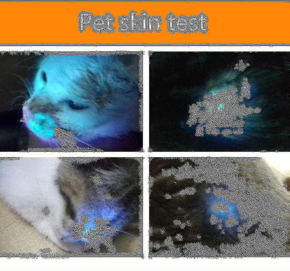 Lightweight Hand-held Wood's Lamp Wavelength Ultraviolet Diagnostic Uv ...