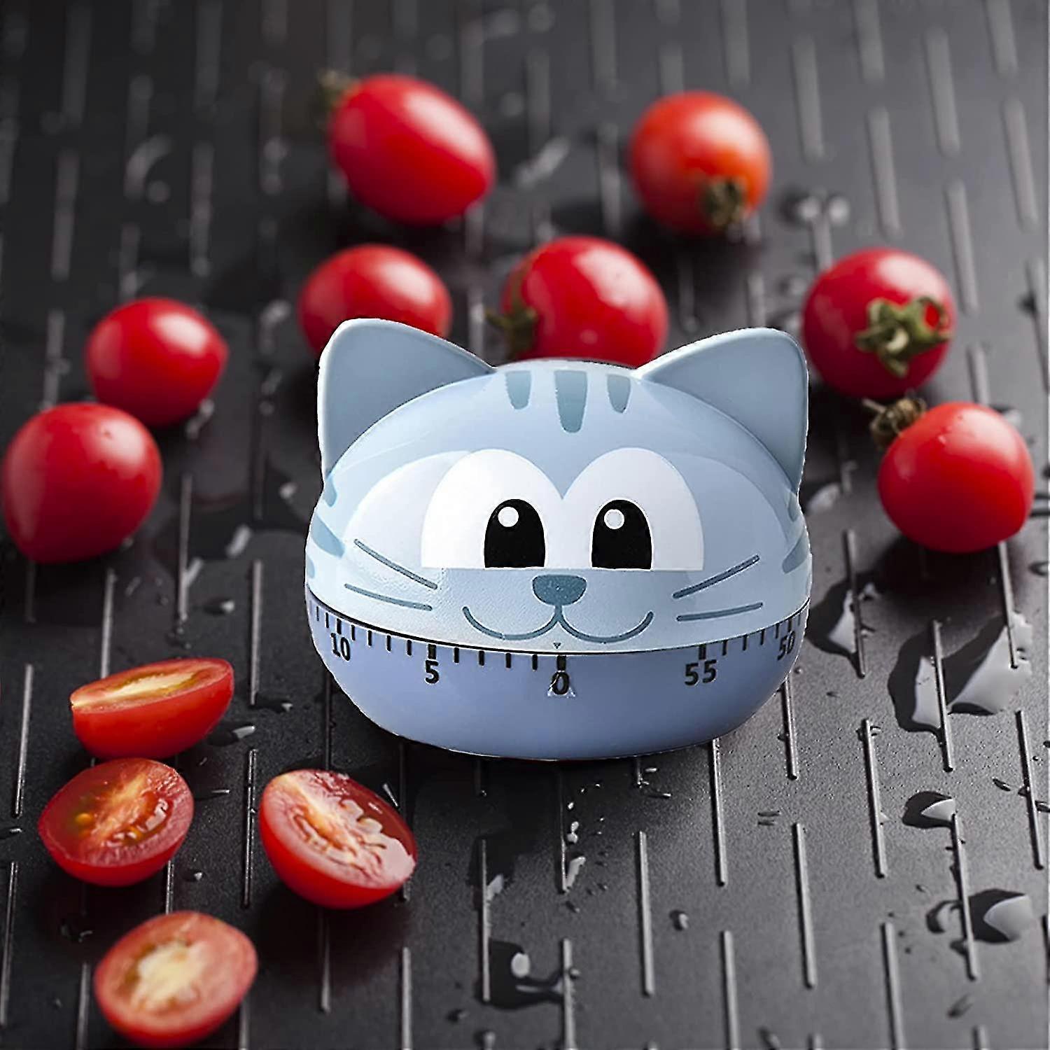 cooking Timer Portable Timer Timer With Loud Alarm Kitchen Timer ...