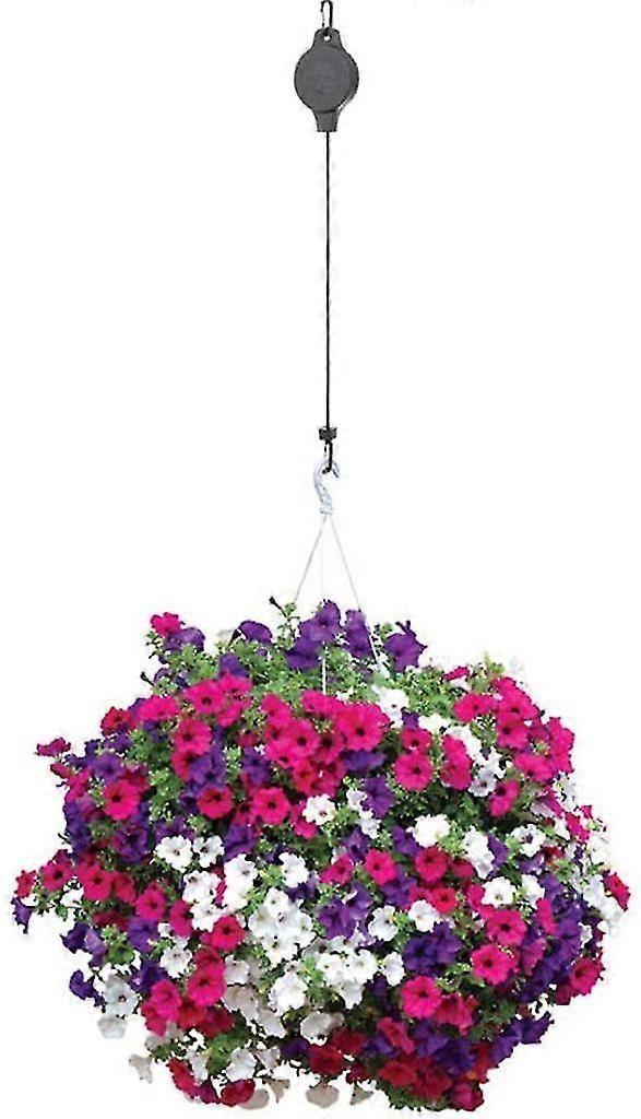 Traffic Light Lift Set Of 2 Pulley Traffic Light Plant Lift Retractable ...