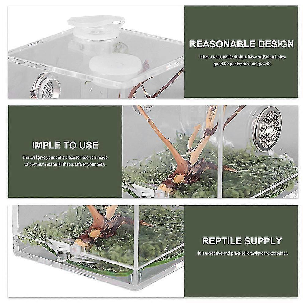 Snail Terrarium Snake Terrarium Tank Spider Feeding Box Reptile Feeding ...