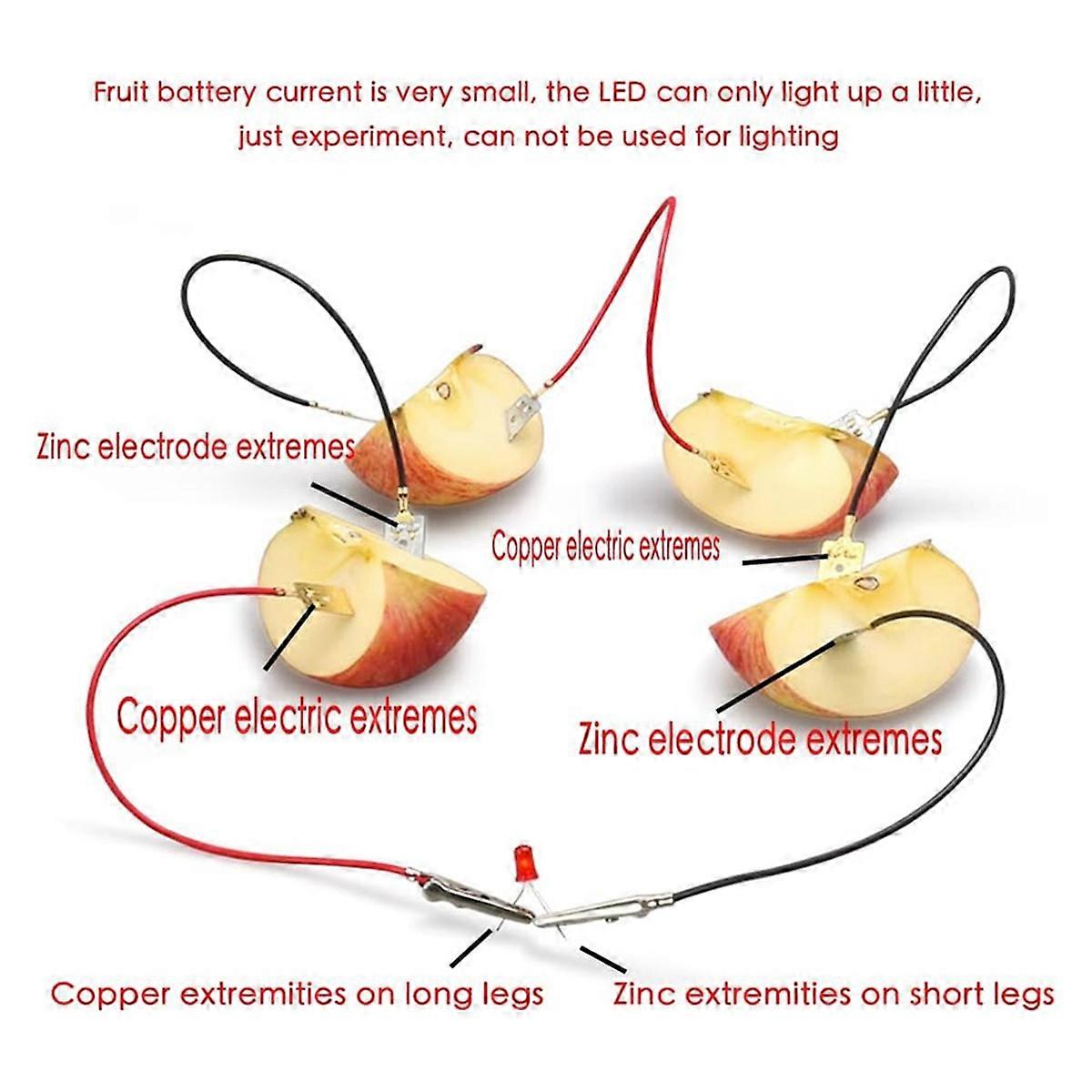 Fruit Battery Science Experiment Kit for Home Teaching Toy, Lemon ...