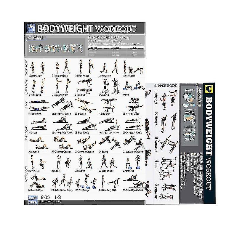 Bodyweight Exercise Poster Set Laminated 2 Chart Set Men And Women Body ...