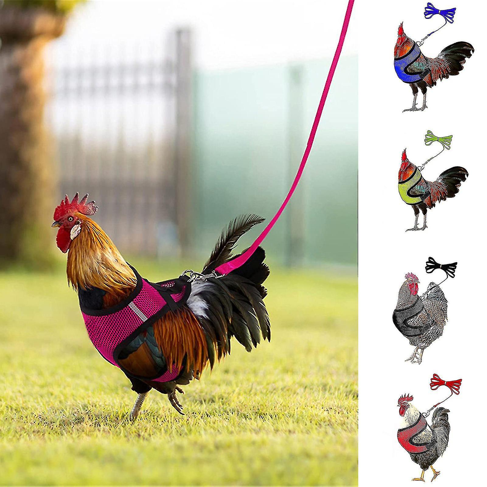 1 Set Chicken Harness With Leash Breathable Adjustable Chicken Duck ...