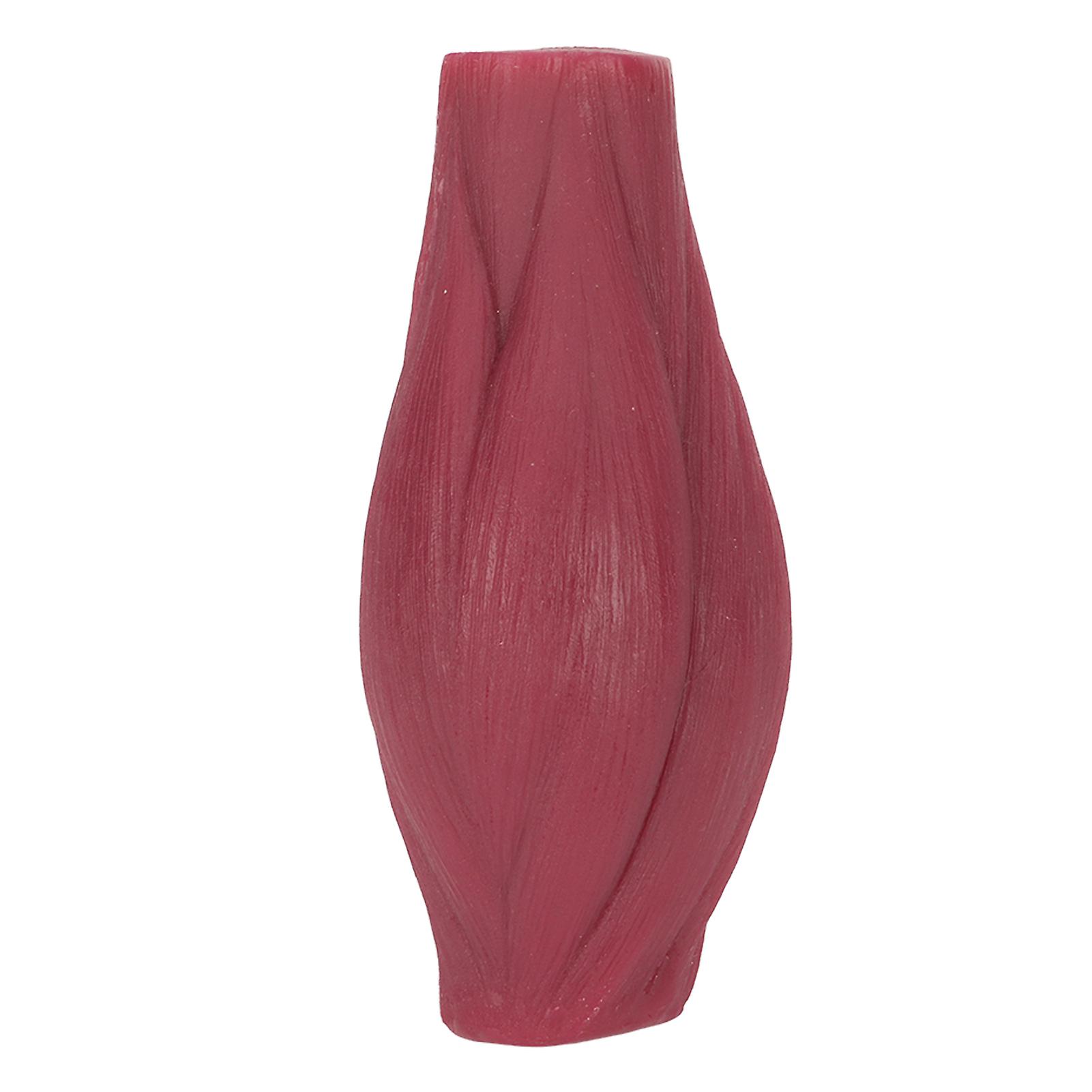 Human Body Muscle Replica Model Plastic Realistic Texture 1lb Muscle ...