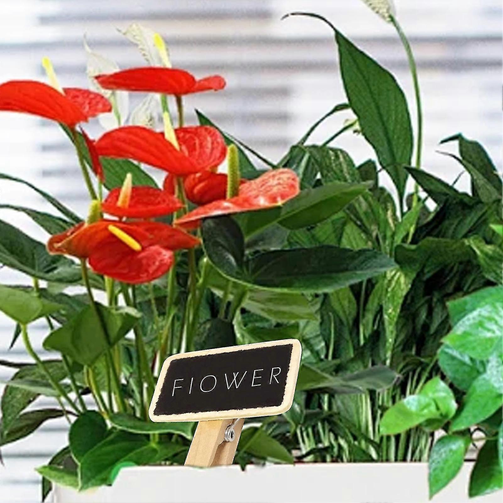 50pcs Mini Chalkboard Signs Wooden Clip Reserved Table Signs Cute Mini ...