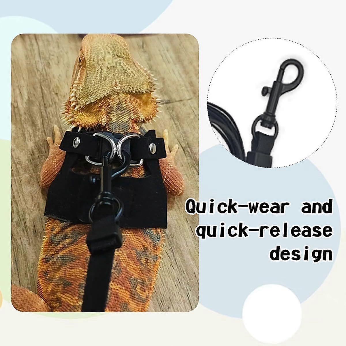 Bearded Dragon Harness and Leash Set Outdoor Harness for Squirrels ...