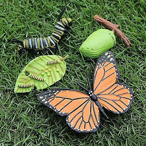 Insect Monarch Butterfly Growth Cycle Figurine Monarch Butterfly Life ...