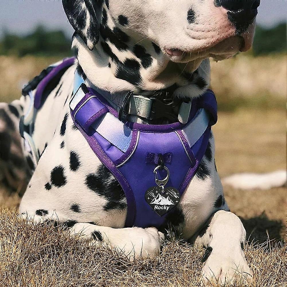 24 Pack Anodzied Aluminum Dog Tags Blanks Laser Engraving Blanks Heart ...