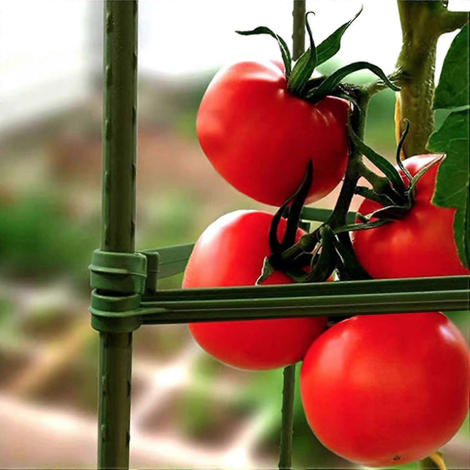 30 Pack Tomato Cage Garden Stake Support Vegetable Trellis Rod Supports ...