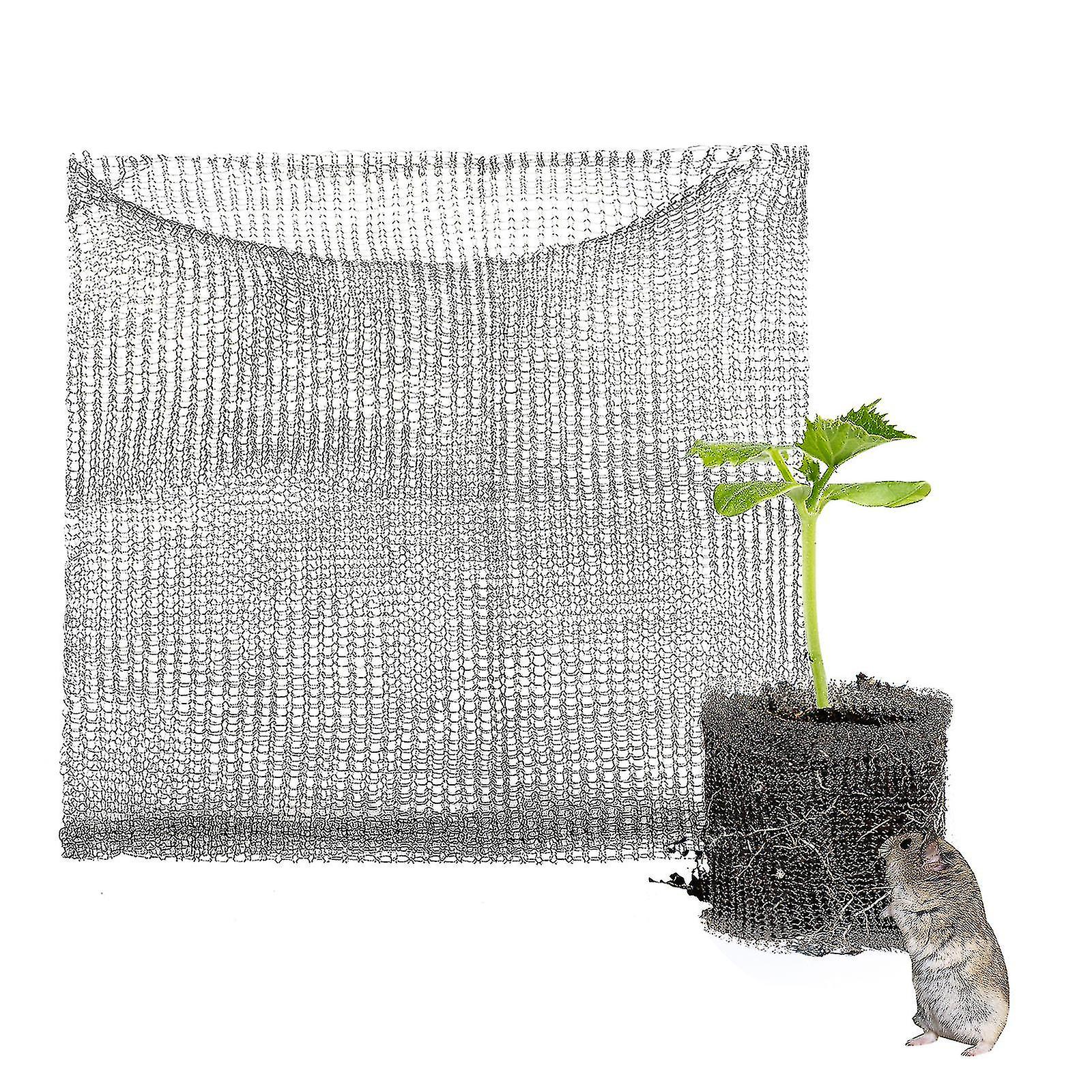 4-pack rotskyddskorgar i rostfritt stål för växter - Tunga Gopher Root ...