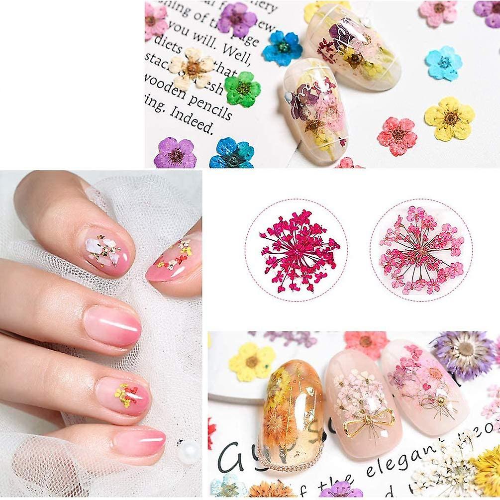Dried Flowers, Dried Flowers For Nail Art, 3d Nail Art Sticker/decals ...