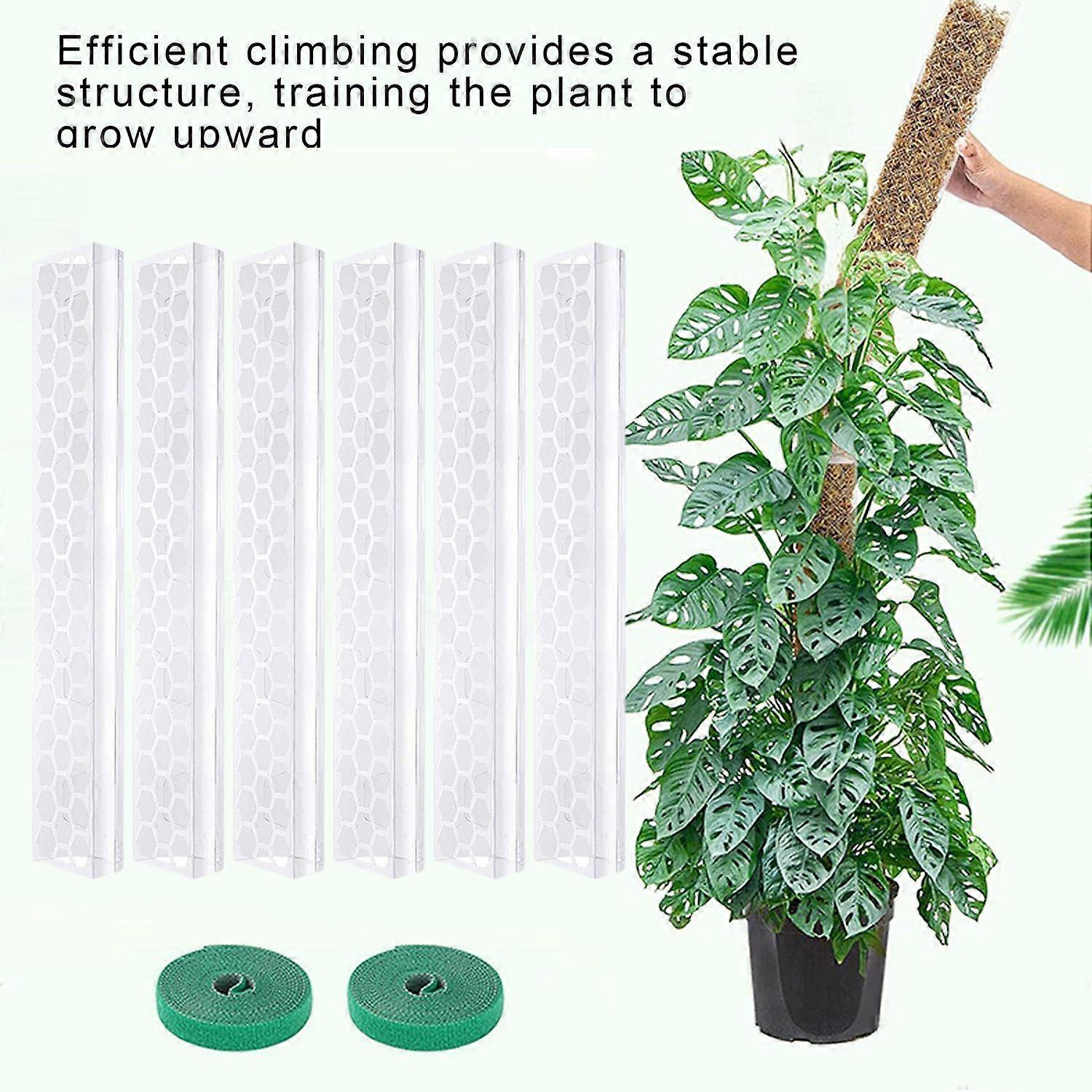 6Pcs Plastic Moss Pole Train Plants to Grow Upward Plant Stakes Indoor ...