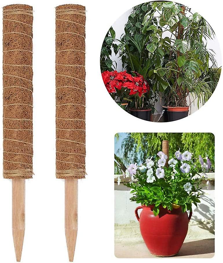 2 Pieces 40cm Coconut Stick, for Plant Planting Plant Name Support ...