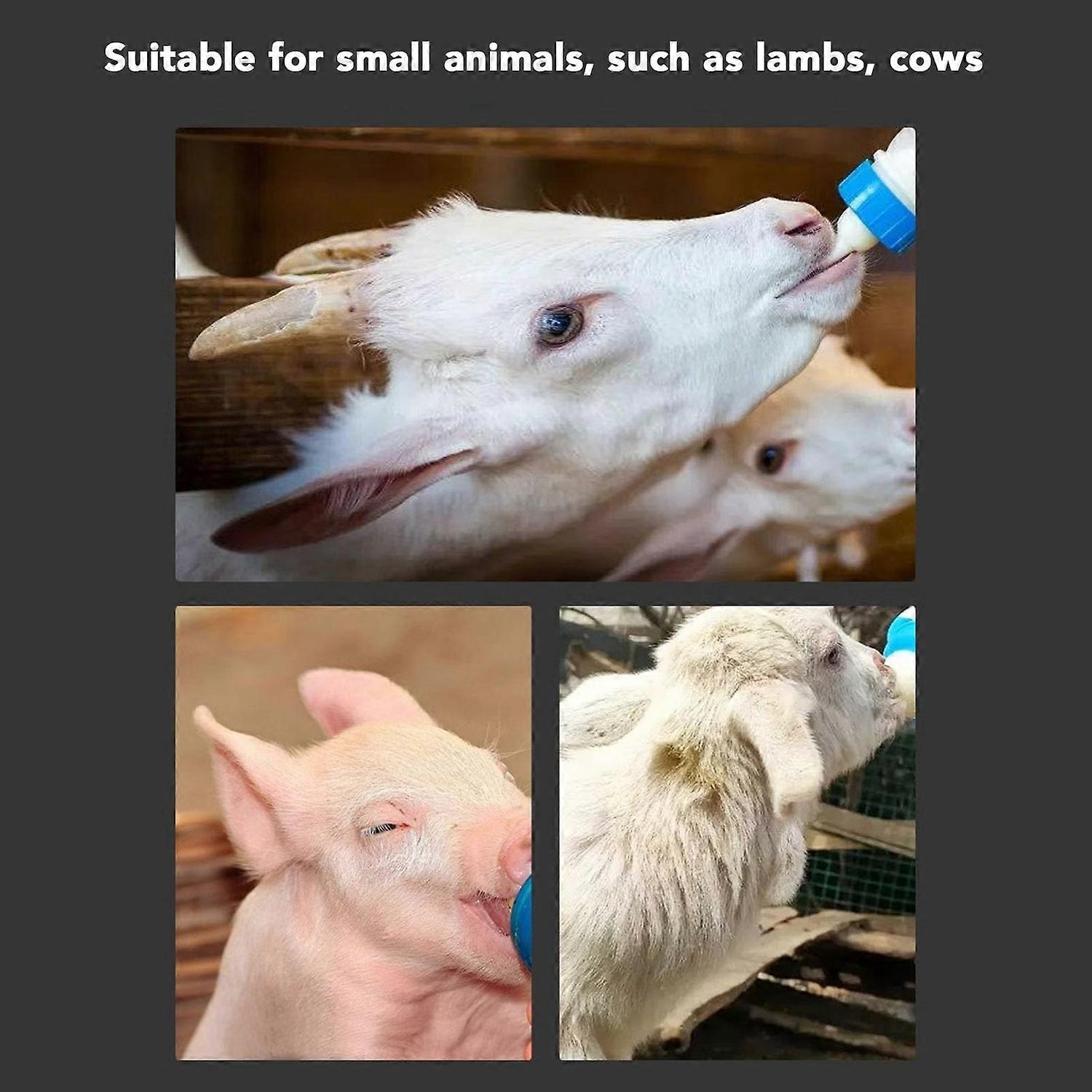 Piggy Milk Feeder 2.5L Round Piglet Poultry Breeding Feeder with 6 ...