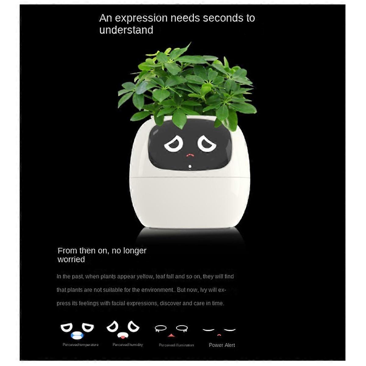 Ivy Smart Planter,USB Rechargeable Indoor Small Flower Pot for Indoor ...