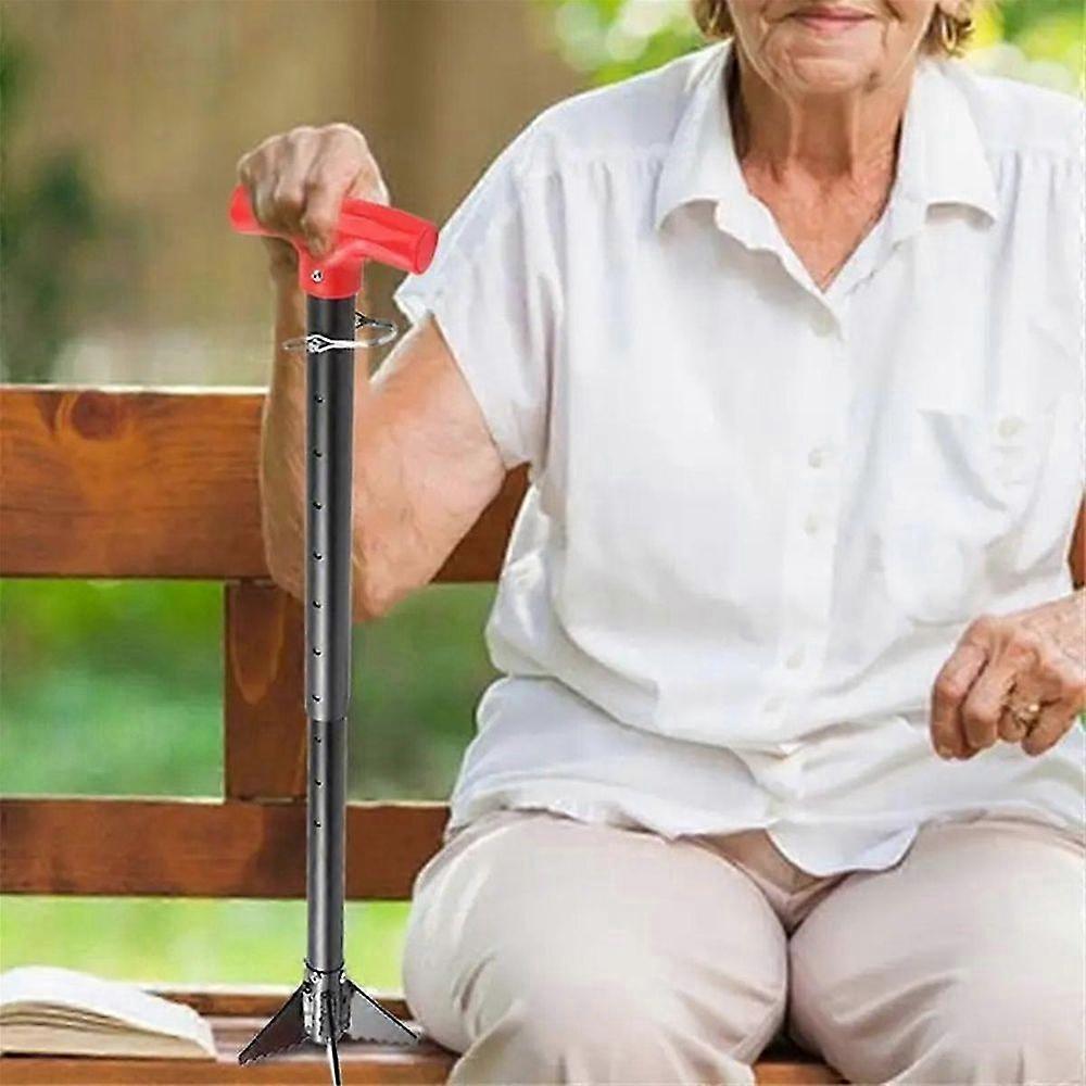 Mobility Aid Tool Portable Mobility Equipment Adjustable Seniors Lift ...