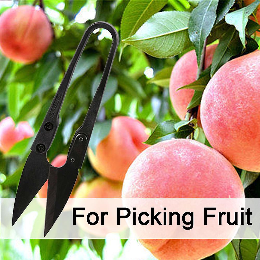 Bonsai Pruning Scissors 15 Pcs, Small Pruner Shears, Bud Leaves Trimmer ...