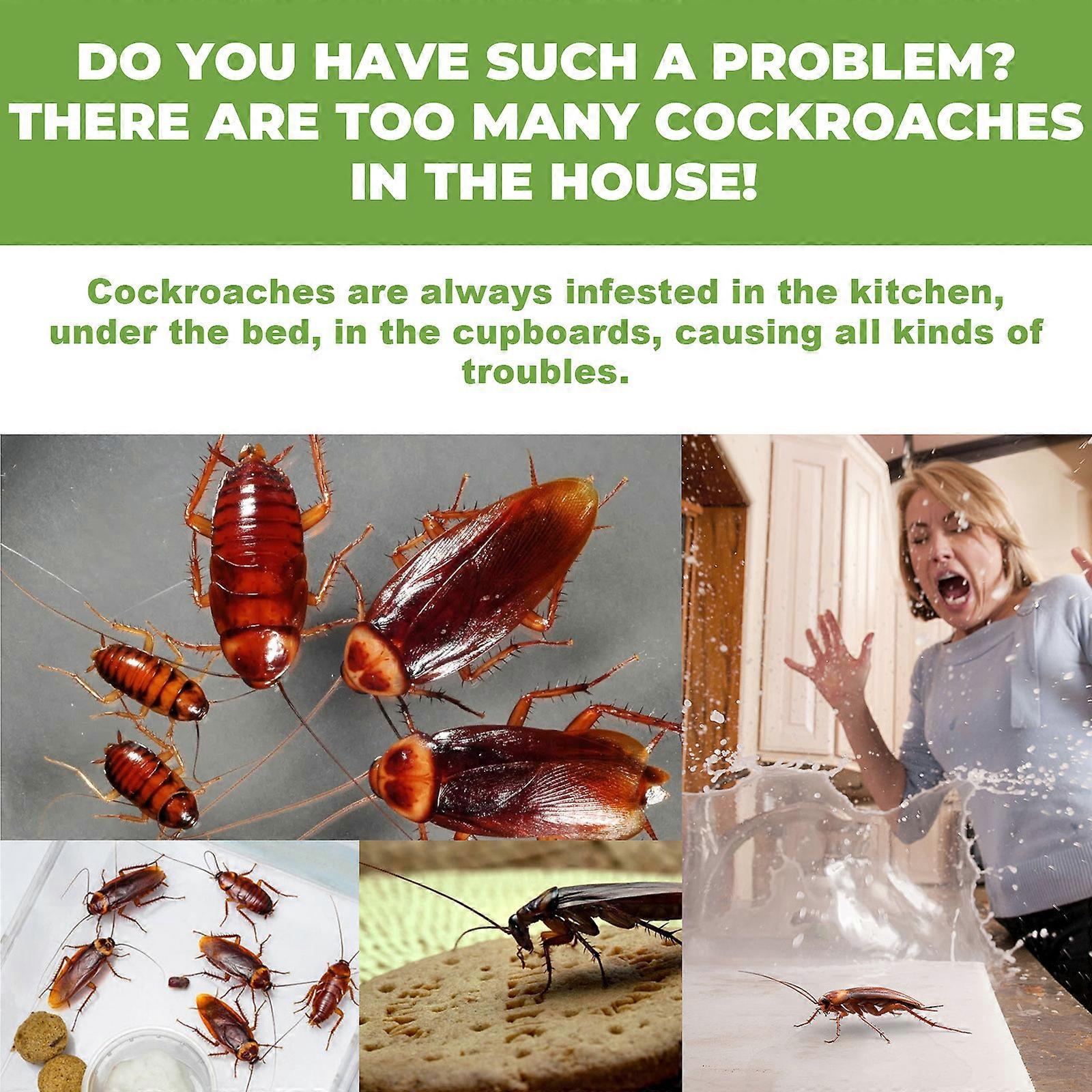 Cockroach eliminator, cockroach drug, strong cleaning, effective ...