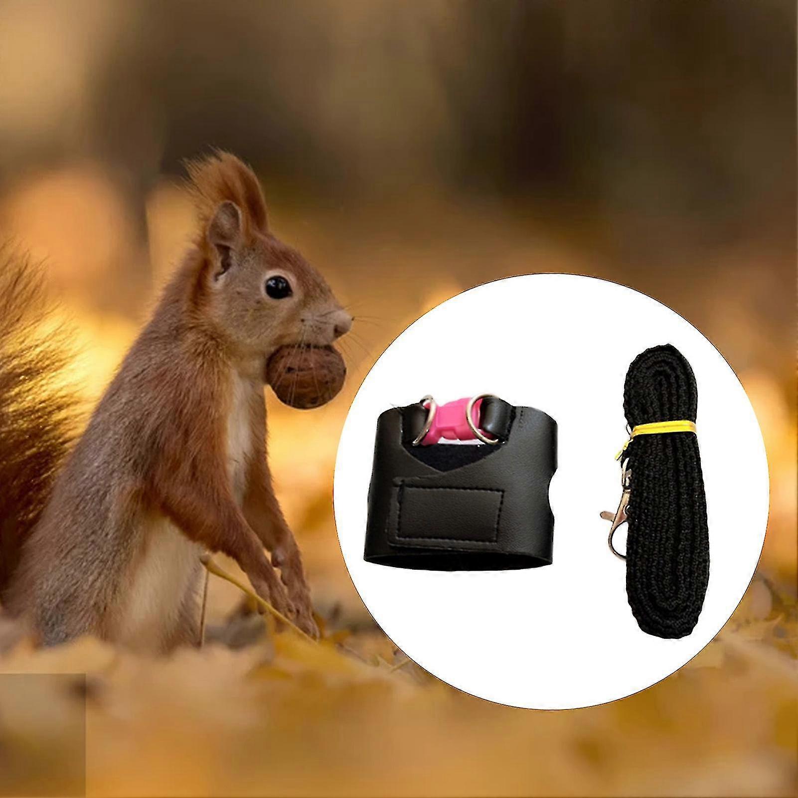 Squirrel Leash Escape Proof Easy Control Accessory Squirrel Train Tool ...