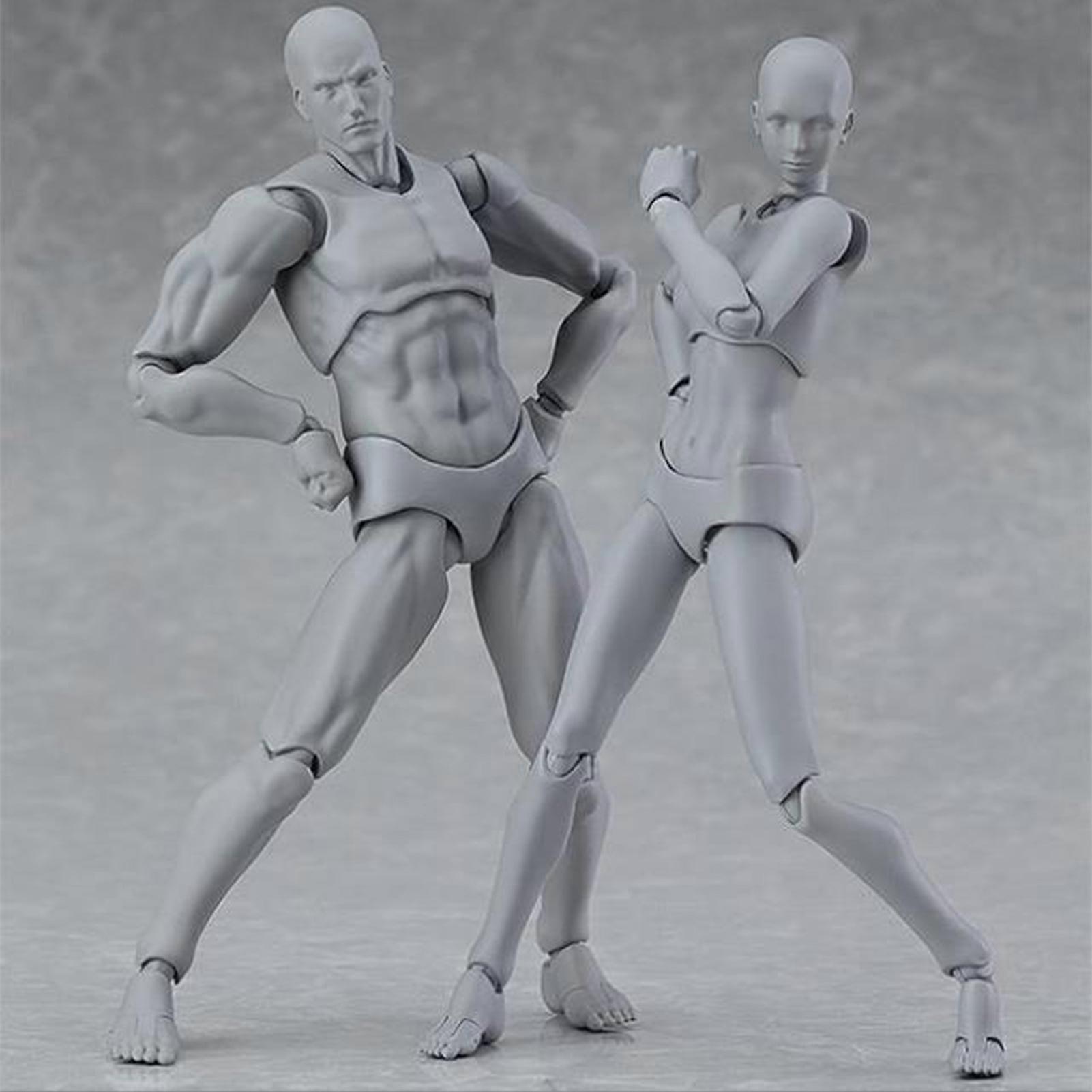 Male Female Body Figure Toy Movable Joints Drawing Mannequin Figure ...