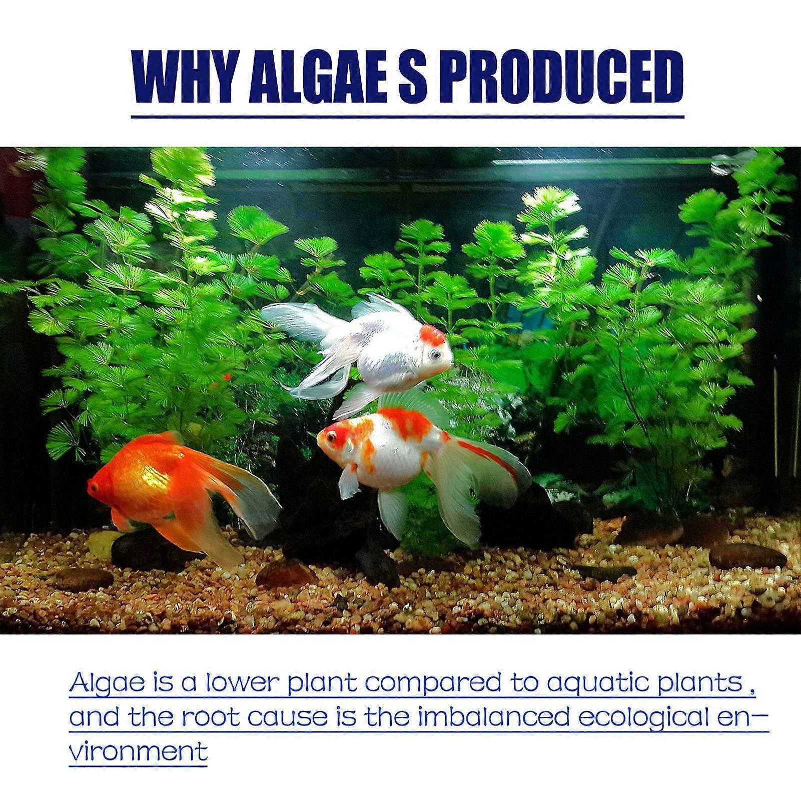 50g Moss and Algae Killer and Cleaner Effective in Aquariums Fountains ...