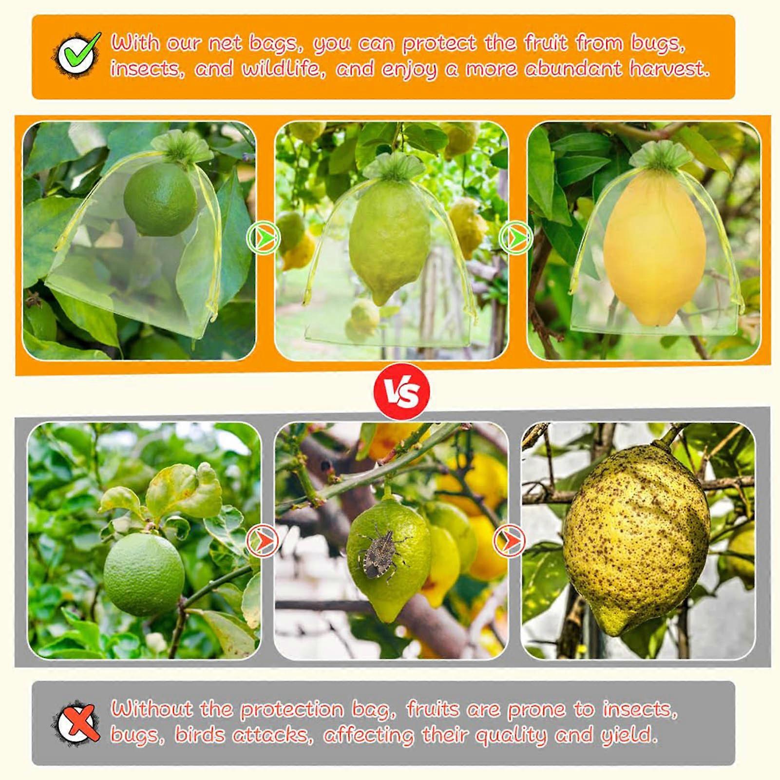 Plant Insect Protection Net Fruit Protection Bags Green Fruit Netting ...