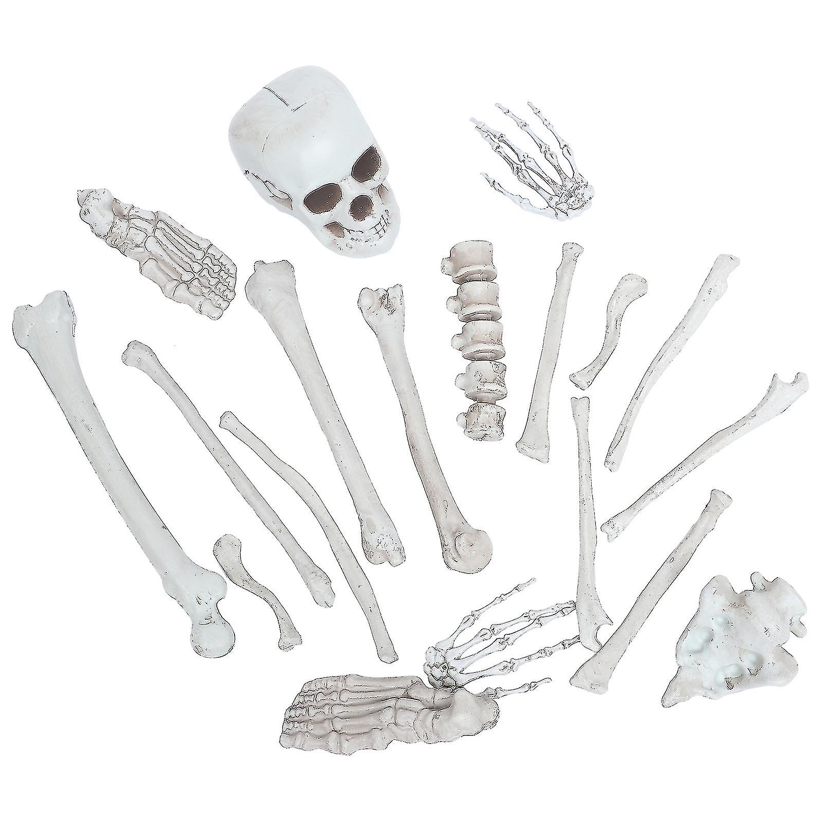 1 Set Human Skeleton Bones Graveyard Human Skulls Spooky Scene Props ...