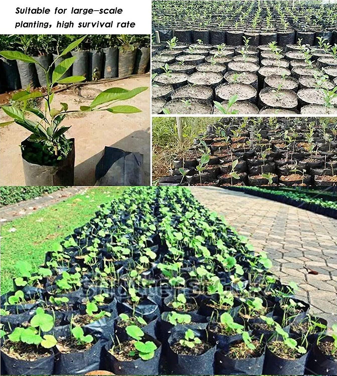 100pcs Thickened Plastic Plant Nursery Bags Fruit And Flower Seedling ...