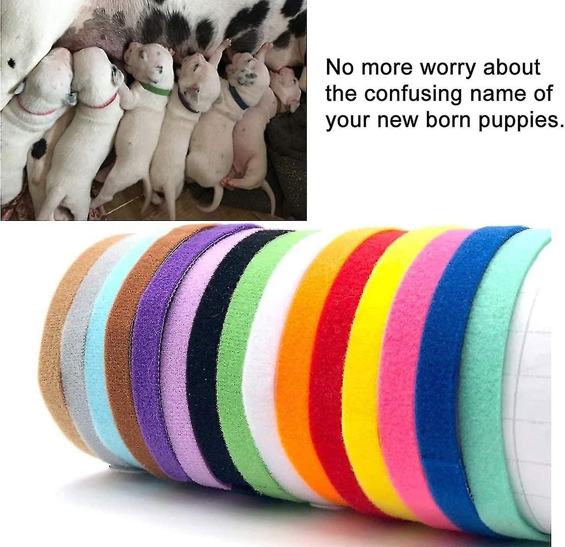 Puppy Identification Necklaces, Puppy Id Necklace, Puppy Necklaces ...