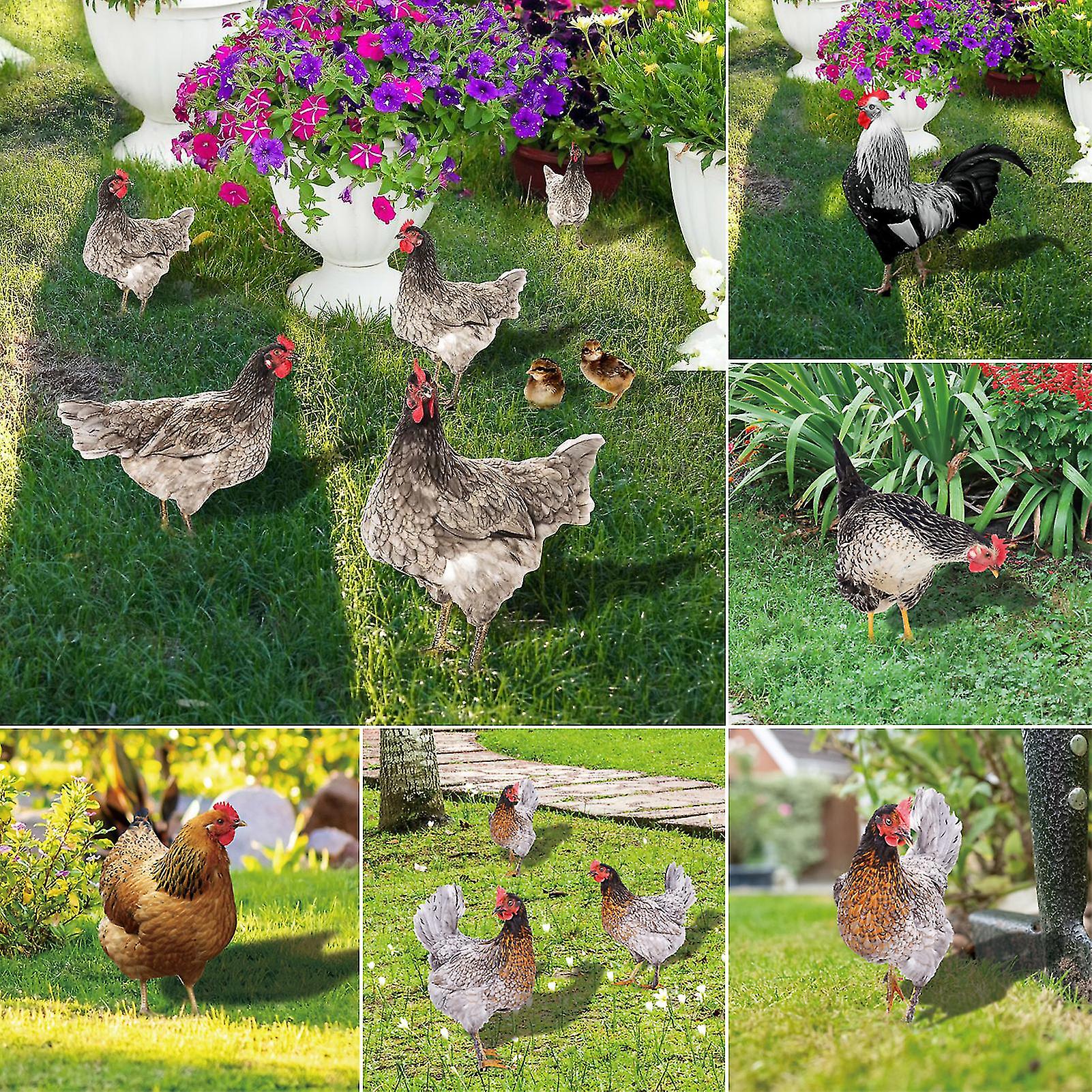 Rooster Decor Realistic Life-like Ornamental Double-sided Printing ...