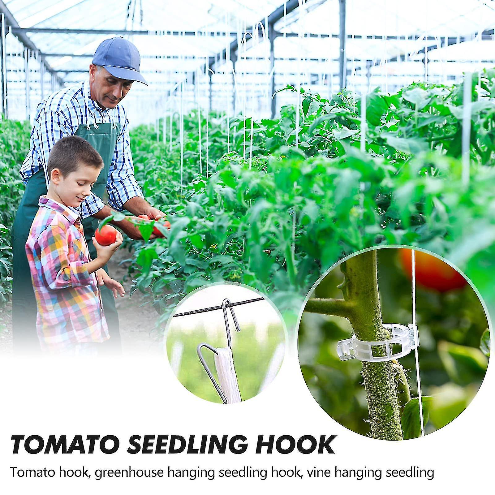 10 Pcs Tomato Hooks With 10m Cord, Steel Wire Tomato Hooks Vetable ...