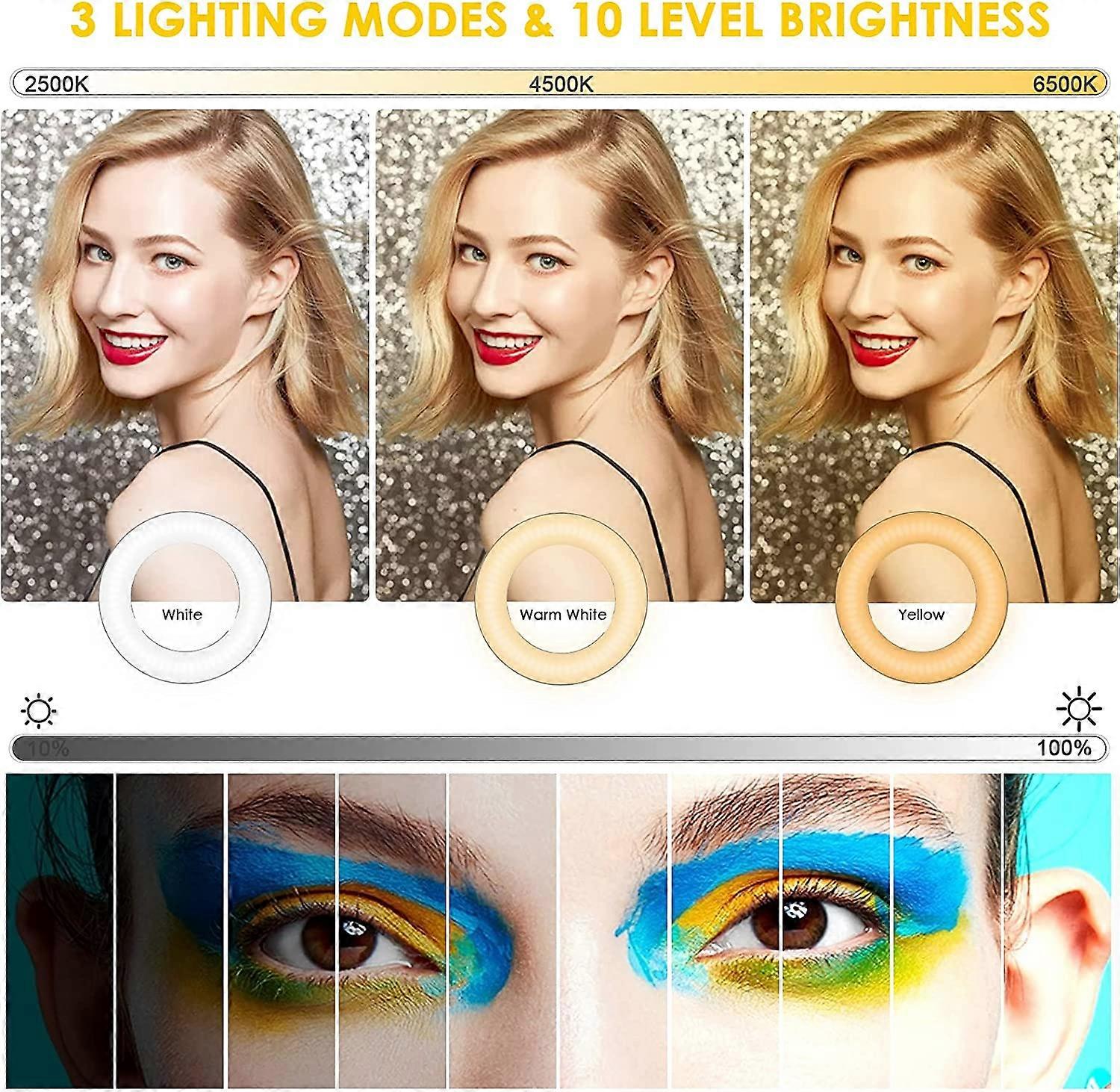 4" Ring Light for Laptop with Stand & Clip,Video Conference Lighting ...