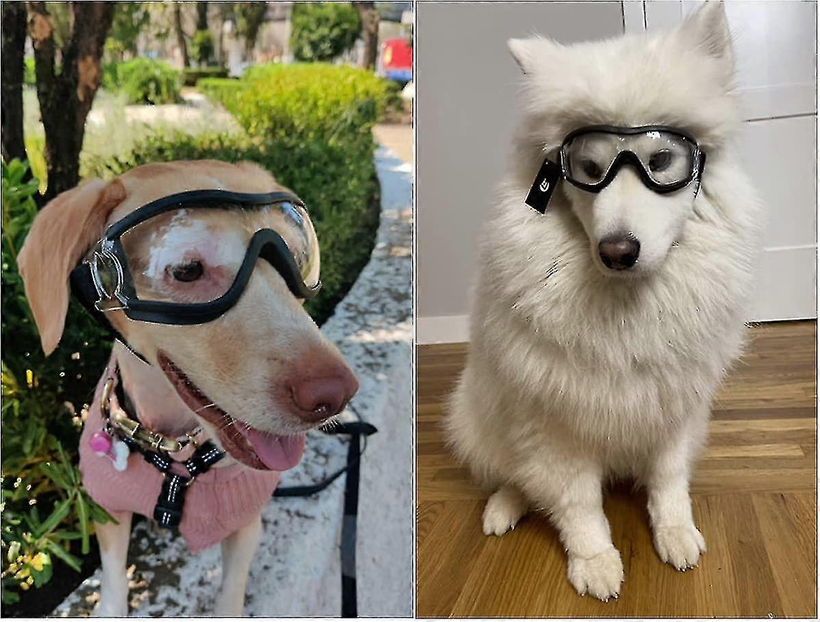 Hundglasögon för medium stor ras hund ögonskydd Solglasögon Vindtät Uv ...