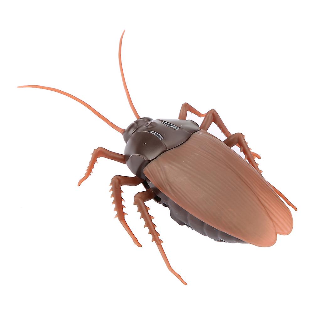 Remote Control Fake Cockroach Toy for Kids - Scary and Funny Insect ...